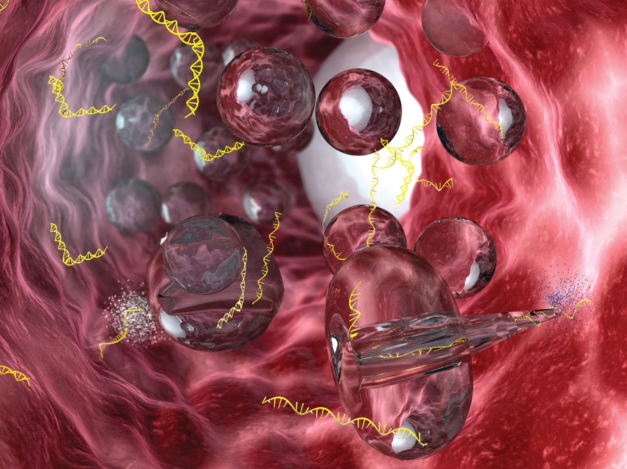 Selected Clips – Caroline Seydel